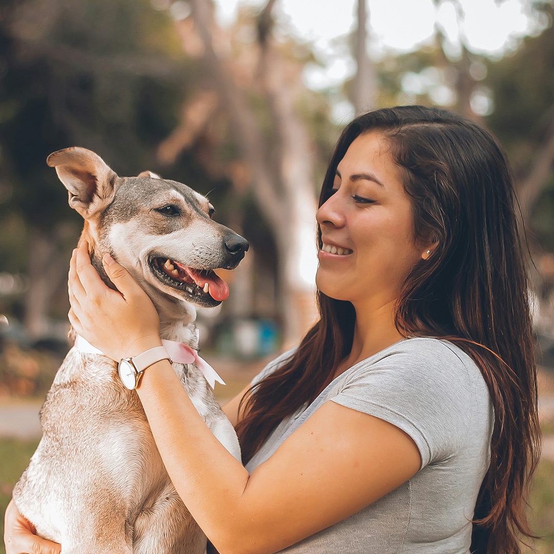 About Us | Colonial Animal Hospital