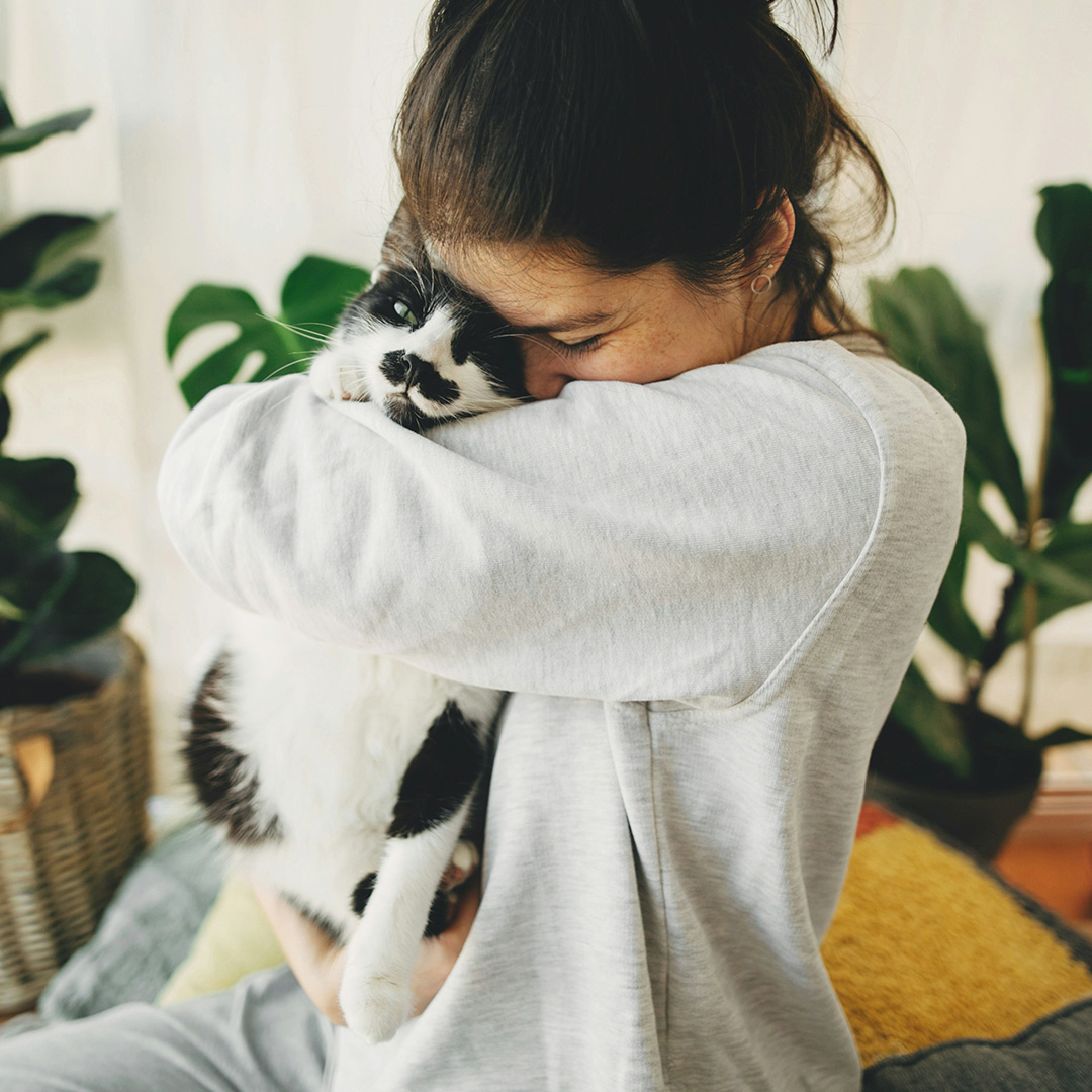 Contact Us | Colonial Animal Hospital